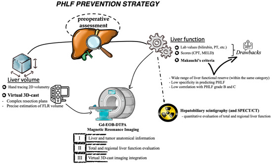 How Much Is Enough? A Surgical Perspective on Imaging Modalities to ...