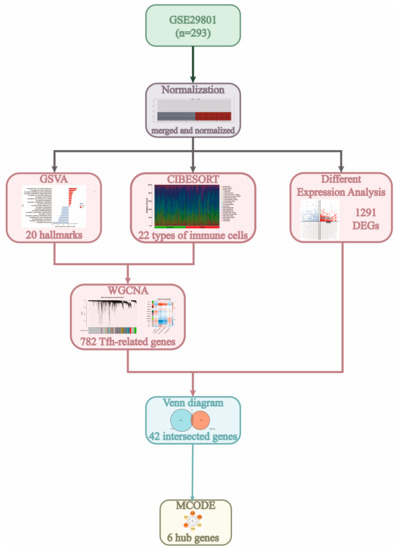 Identification of the Immune Landscapes and Follicular Helper T Cell ...
