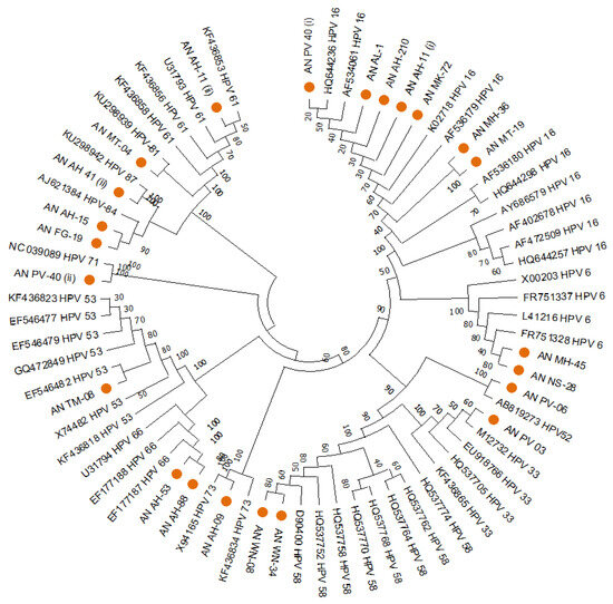 Distribution of Human Papillomavirus Genotypes among the Women of South ...