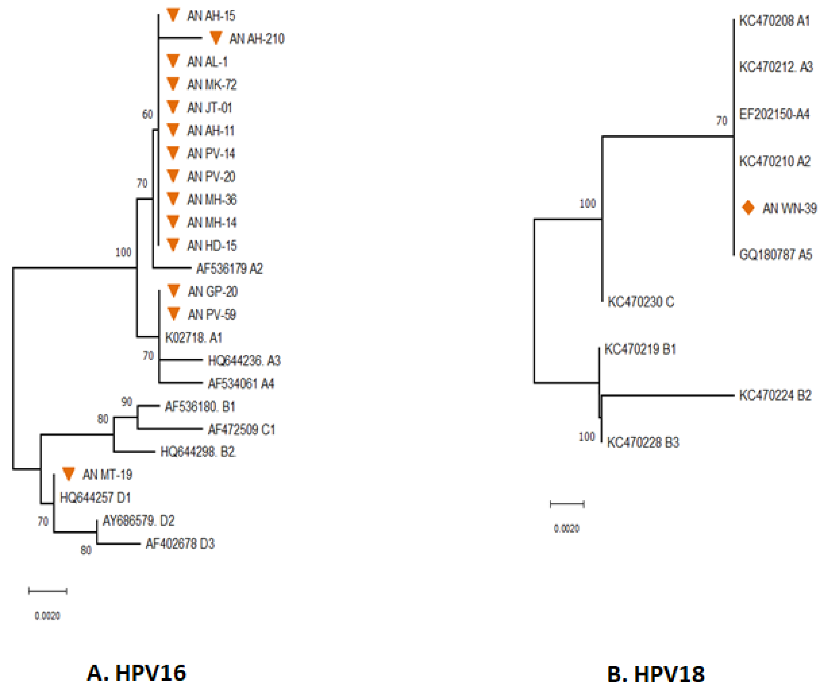 Distribution of Human Papillomavirus Genotypes among the Women of South ...