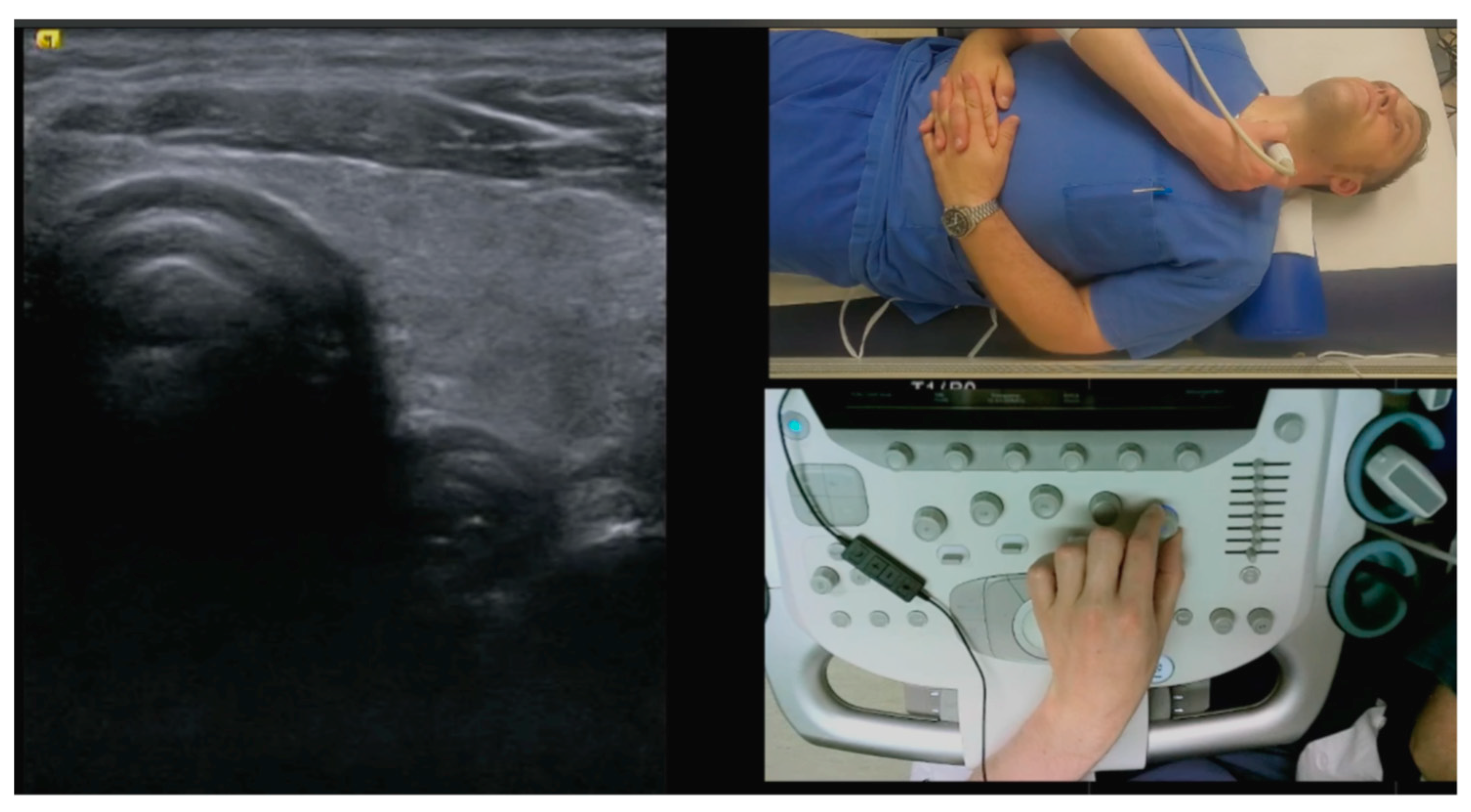 Diagnostics Free Full Text Assessing The Use Of Telepresence Guided