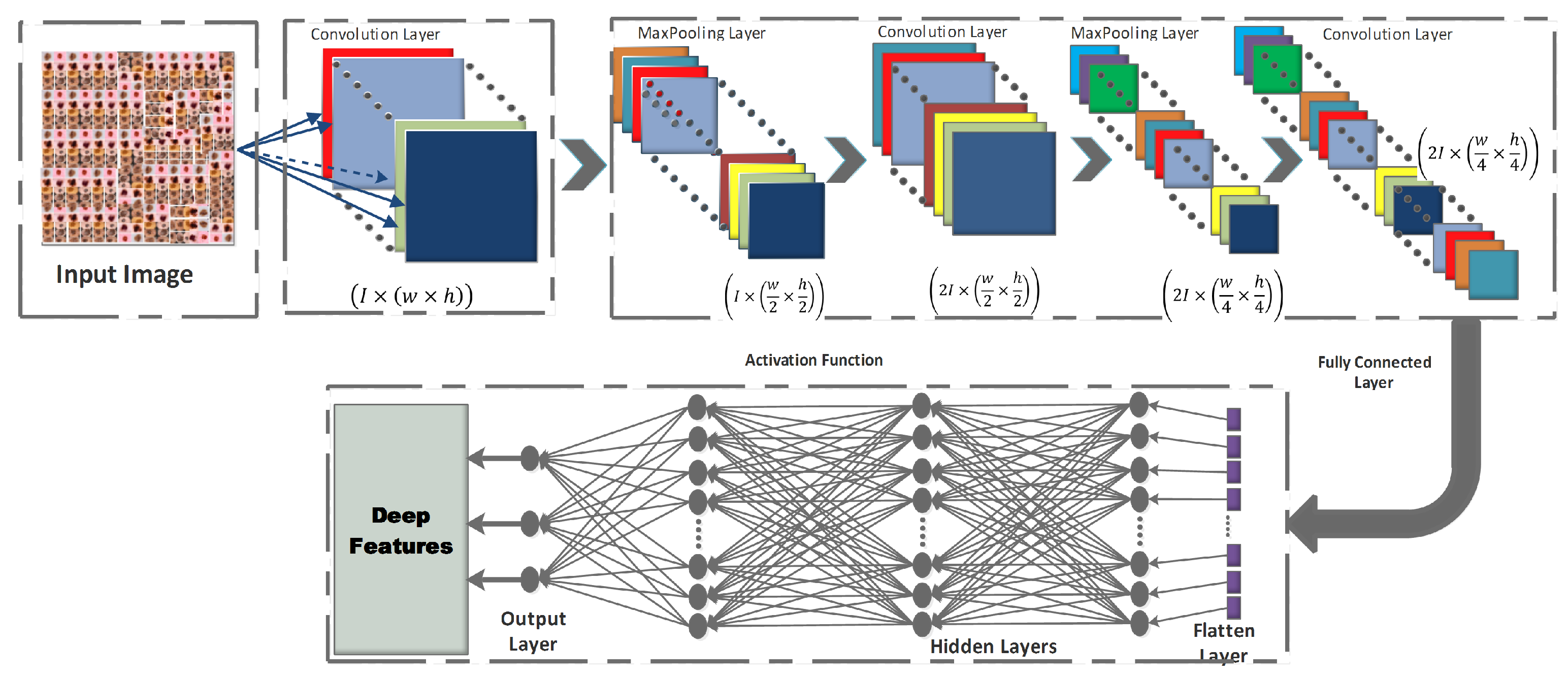 Precision in Dermatology: Developing an Optimal Feature Selection Framework for Skin Lesion ...