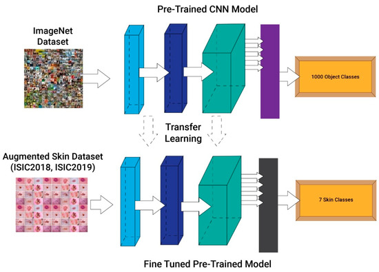 SkinNet-INIO: Multiclass Skin Lesion Localization and Classification Using Fusion-Assisted Deep ...