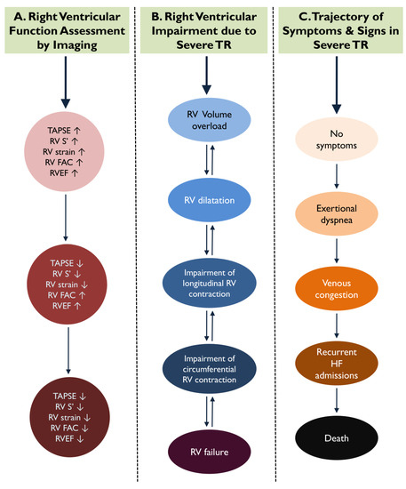 Diagnostics | Free Full-Text | Unmet Needs in the Assessment of Right ...