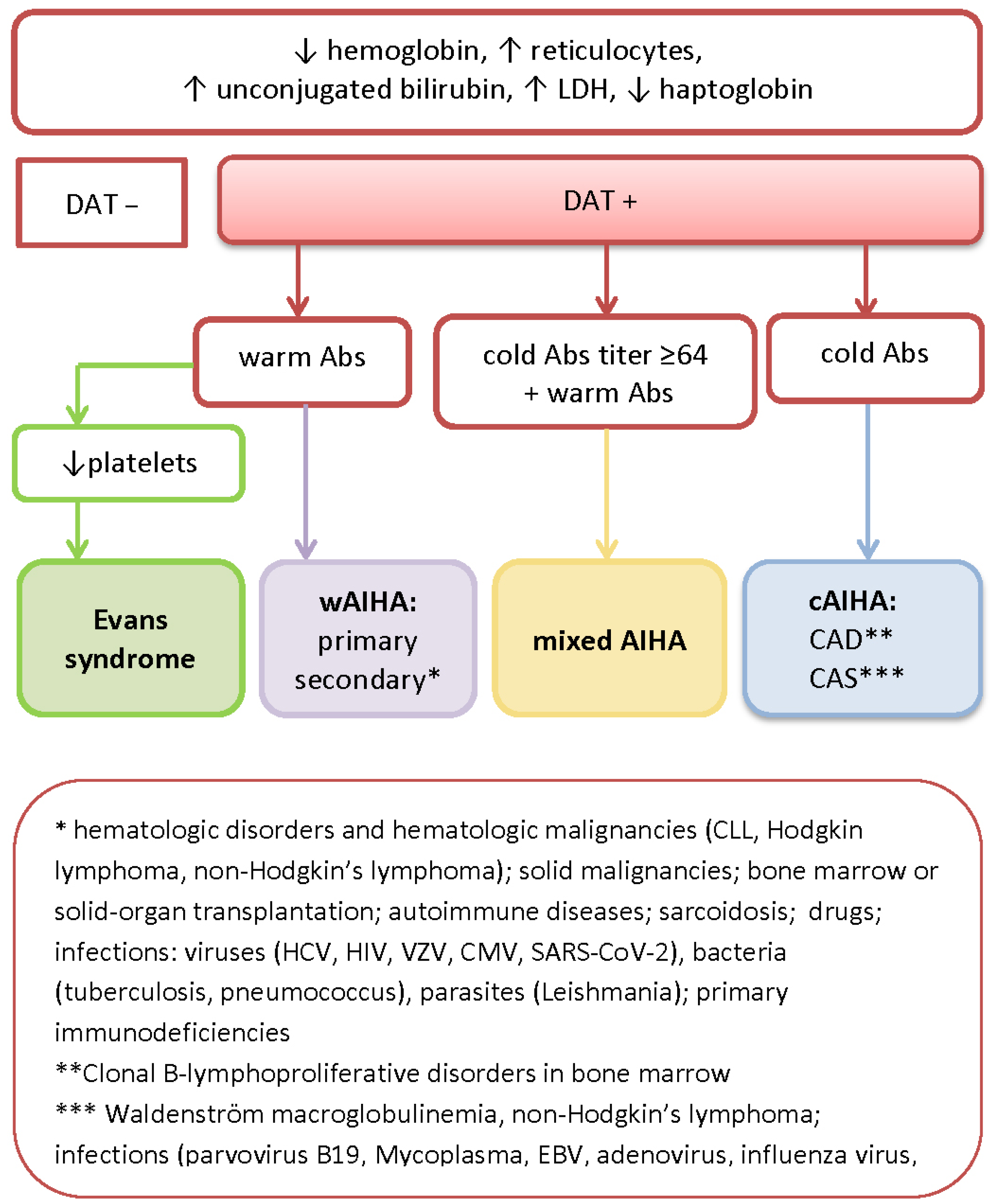 The Role of the Spleen and the Place of Splenectomy in Autoimmune ...