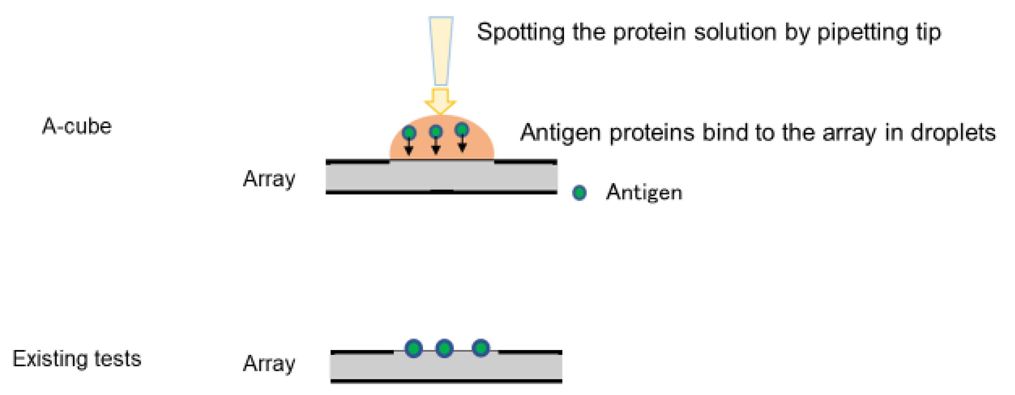 The Autoantibody Array Assay: A Novel Autoantibody Detection Method