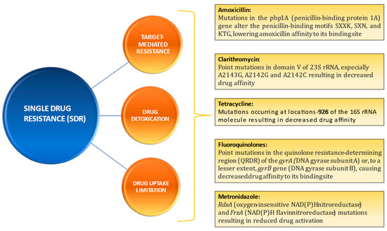 Drug-Resistant Helicobacter pylori: Diagnosis and Evidence-Based Approach