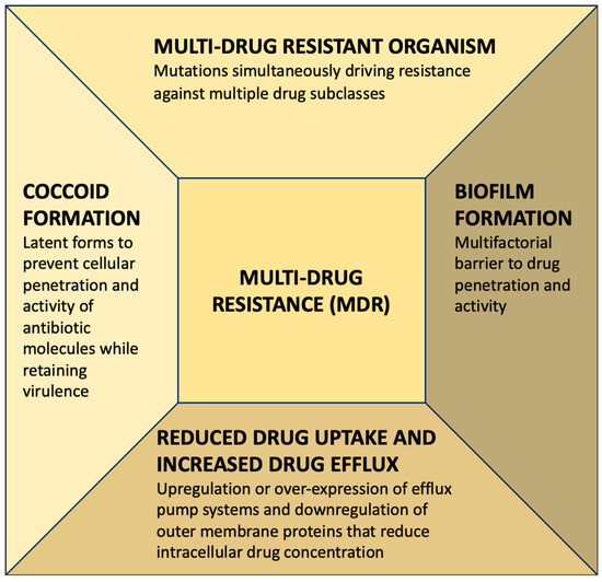 Drug-Resistant Helicobacter pylori: Diagnosis and Evidence-Based Approach