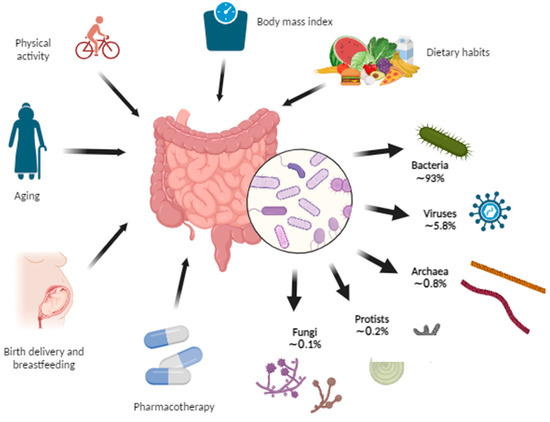 The Intestinal Microbiota in the Development of Chronic Liver Disease ...