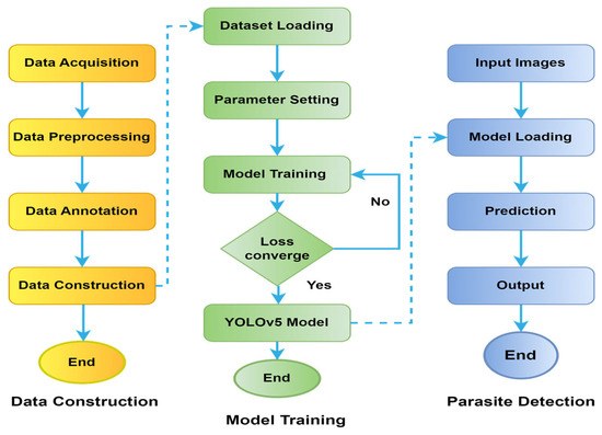 An Efficient and Effective Framework for Intestinal Parasite Egg ...