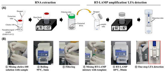 Simple Point-of-Care Nucleic Acid Amplification Test for Rapid SARS-CoV ...