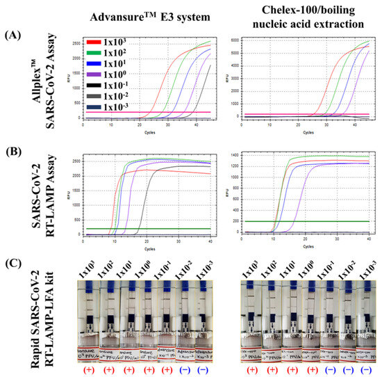 Simple Point-of-Care Nucleic Acid Amplification Test for Rapid SARS-CoV ...