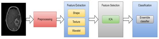 A Review of Recent Advances in Brain Tumor Diagnosis Based on AI-Based ...