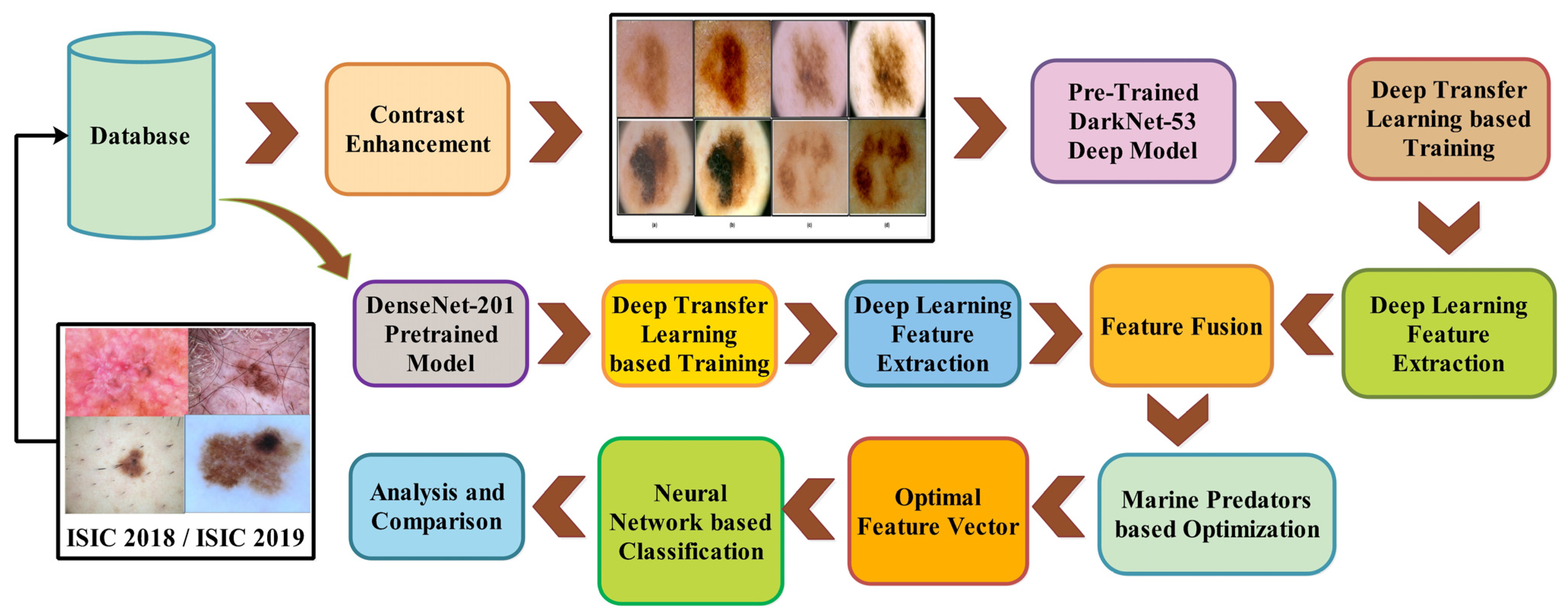 Diagnostics Free Full Text Msrnet Multiclass Skin Lesion