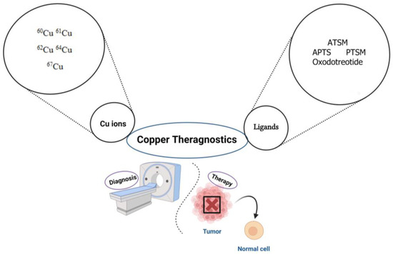 Nuclear Medicine and Cancer Theragnostics: Basic Concepts