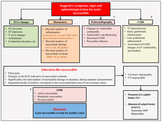 Diagnostics | Free Full-Text | Update on Myocarditis: From Etiology and ...