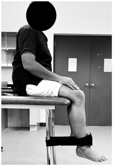 Quadriceps Strength, Postural Stability, and Pain Mediation in ...