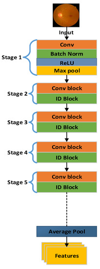 RDS-DR: An Improved Deep Learning Model for Classifying Severity Levels of Diabetic Retinopathy