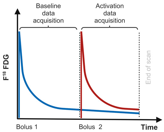 Functional FDG-PET: Measurement of Task Related Neural Activity in ...