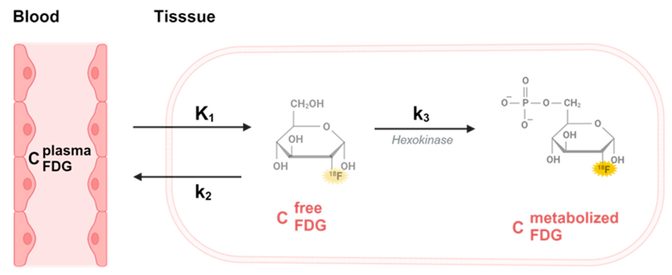 Functional FDG-PET: Measurement of Task Related Neural Activity in ...