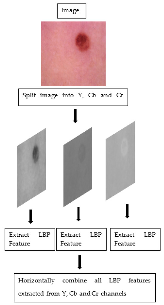A Comparative Analysis of Skin Cancer Detection Applications Using ...