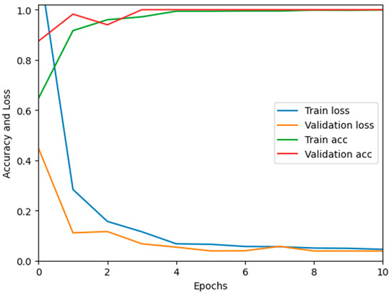 MixNet-LD: An Automated Classification System for Multiple Lung Diseases Using Modified MixNet Model