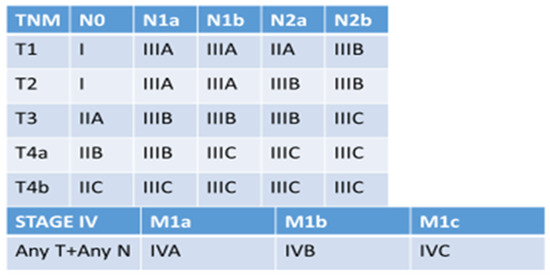 Tumor Progression from a Fibroblast Activation Protein Perspective ...