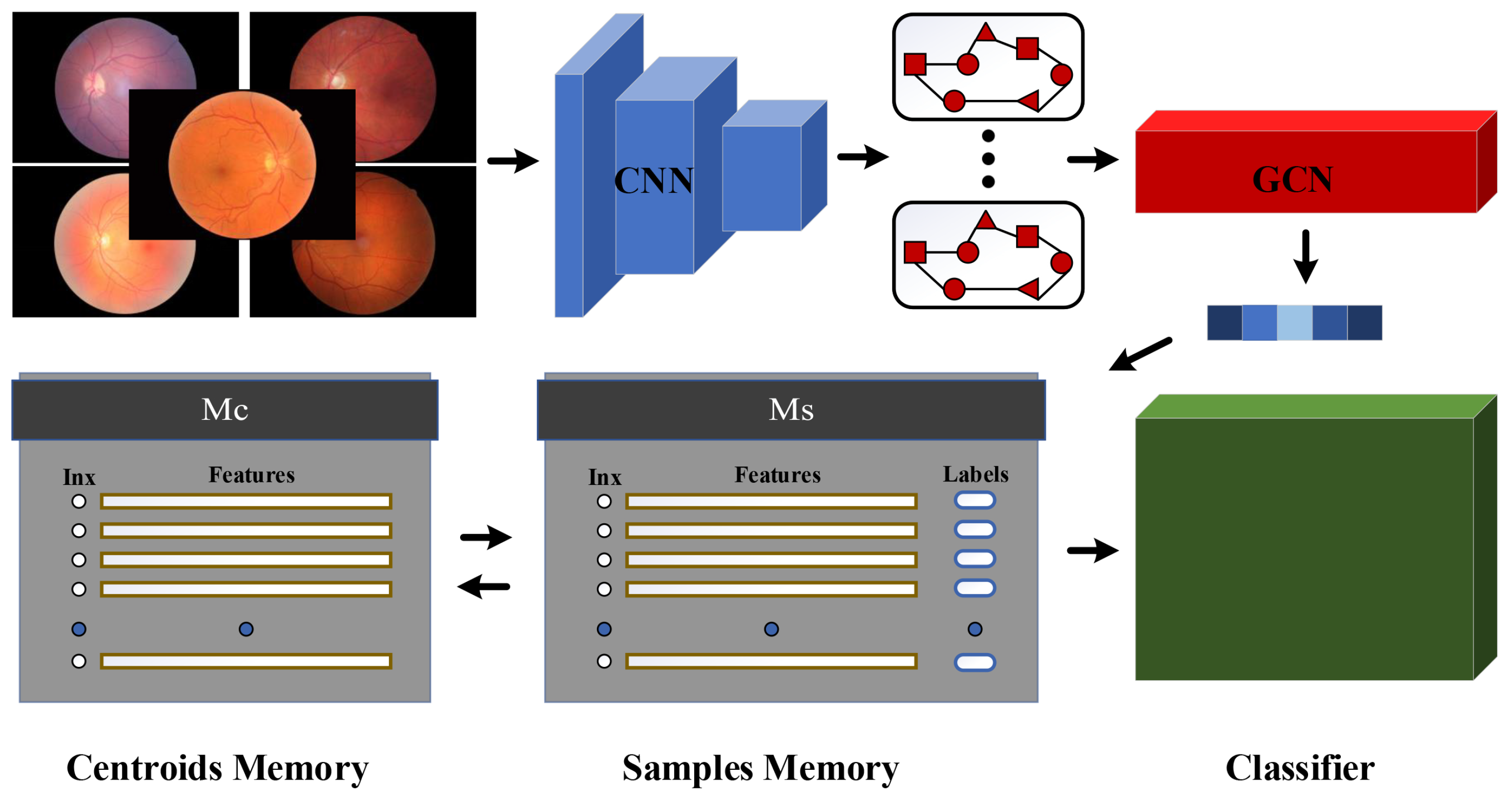 Dynamic Graph Clustering Learning for Unsupervised Diabetic Retinopathy Classification