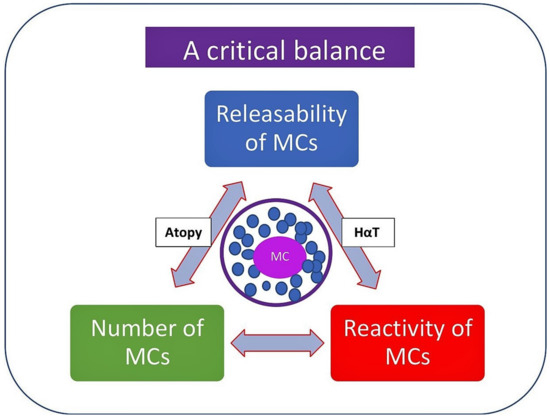 A Puzzling Mast Cell Trilogy: Anaphylaxis, MCAS, and Mastocytosis