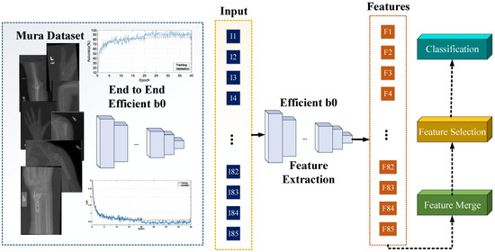 A Pyramid Deep Feature Extraction Model for the Automatic ...
