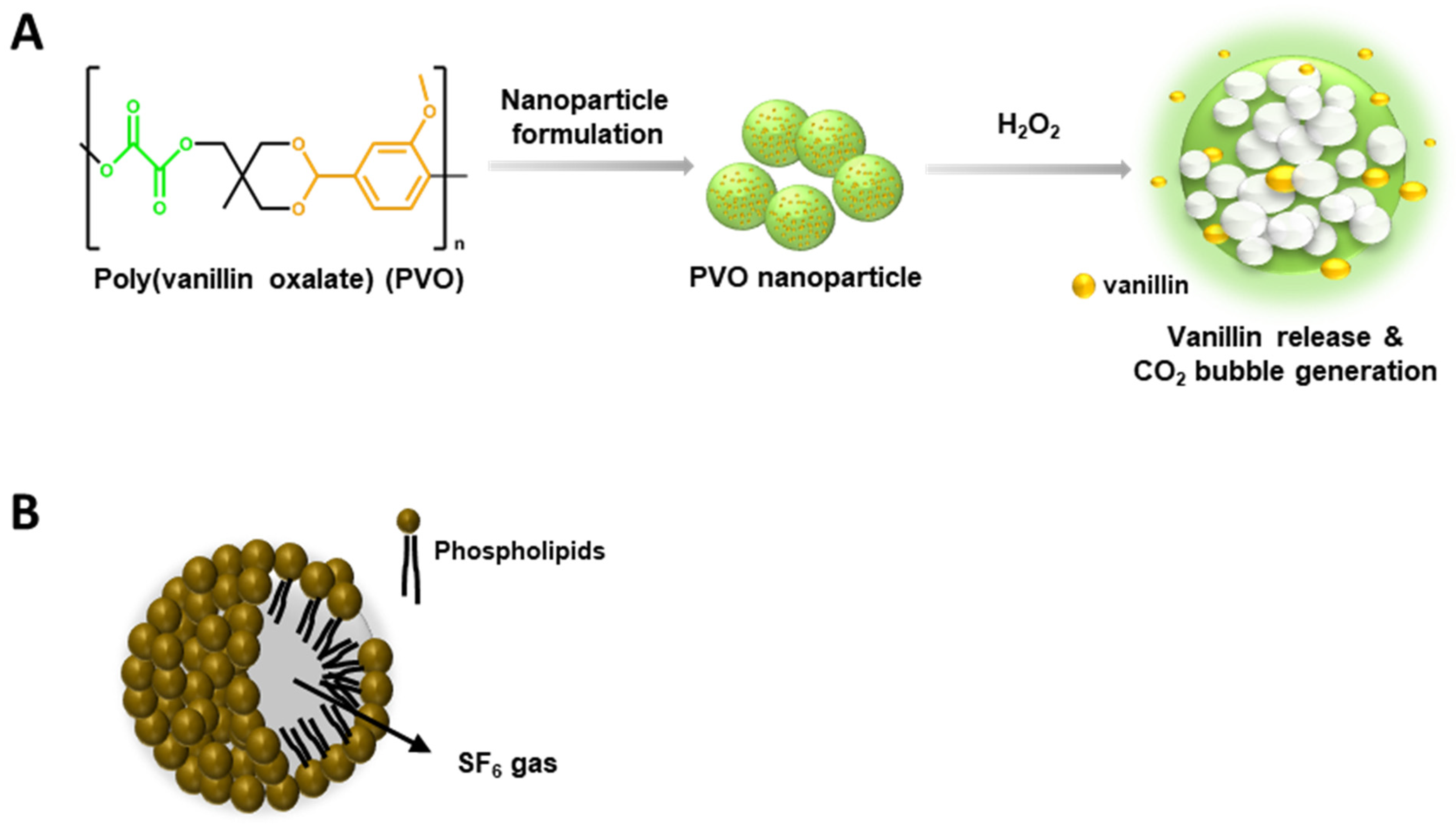 Comparison of Ultrasound Contrast between H2O2-Responsive Nanoparticles ...
