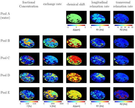 Deep Learning-Based Denoising of CEST MR Data: A Feasibility Study on Applying Synthetic ...