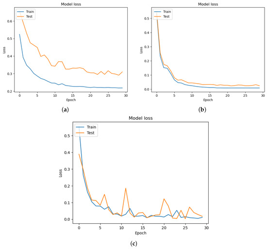 Benign and Malignant Oral Lesion Image Classification Using Fine-Tuned ...