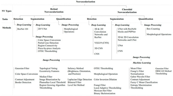 A Complete Review of Automatic Detection, Segmentation, and Quantification of Neovascularization ...