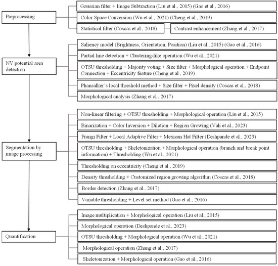 A Complete Review of Automatic Detection, Segmentation, and Quantification of Neovascularization ...