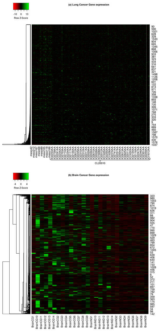 Diagnostics | Free Full-Text | Cancer Diagnosis through Contour Visualization of Gene Expression ...
