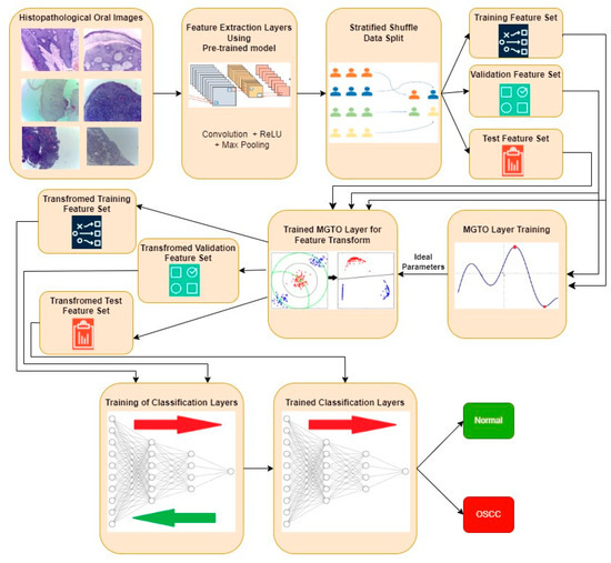 Diagnostics | Free Full-Text | A Deep Learning Framework with an ...