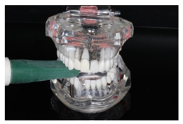 Validation of a New Measuring Instrument for the Assessment of Bite Force
