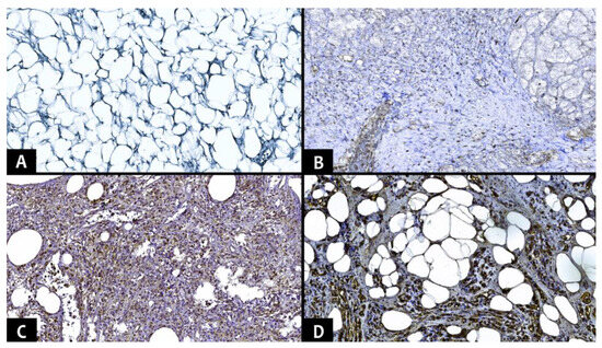 Diagnostics | Free Full-Text | The Predictive Role of the ...