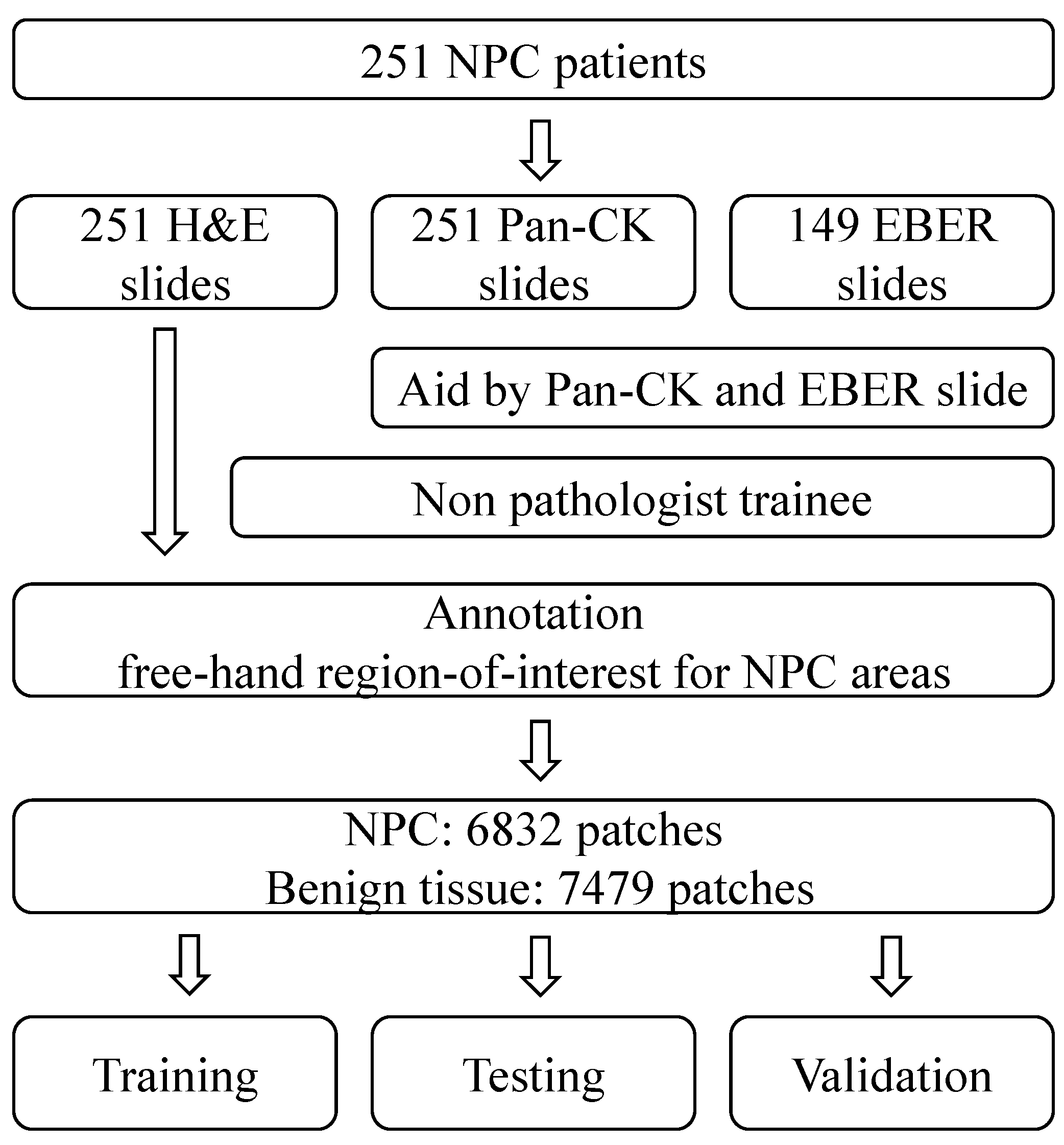 Immunohistochemical Stain-Aided Annotation Accelerates Machine Learning ...