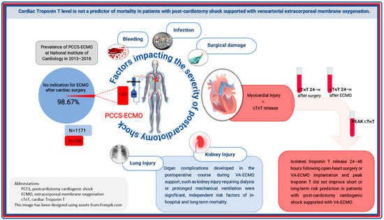 Troponin T and Survival following Cardiac Surgery in Patients Supported ...