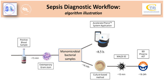 The Rapid Phenotypic Susceptibility Testing in Real-Life Experience ...