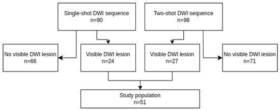 An Automatic DWI/FLAIR Mismatch Assessment of Stroke Patients