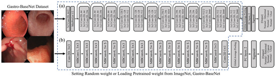 Gastro-BaseNet: A Specialized Pre-Trained Model for Enhanced ...