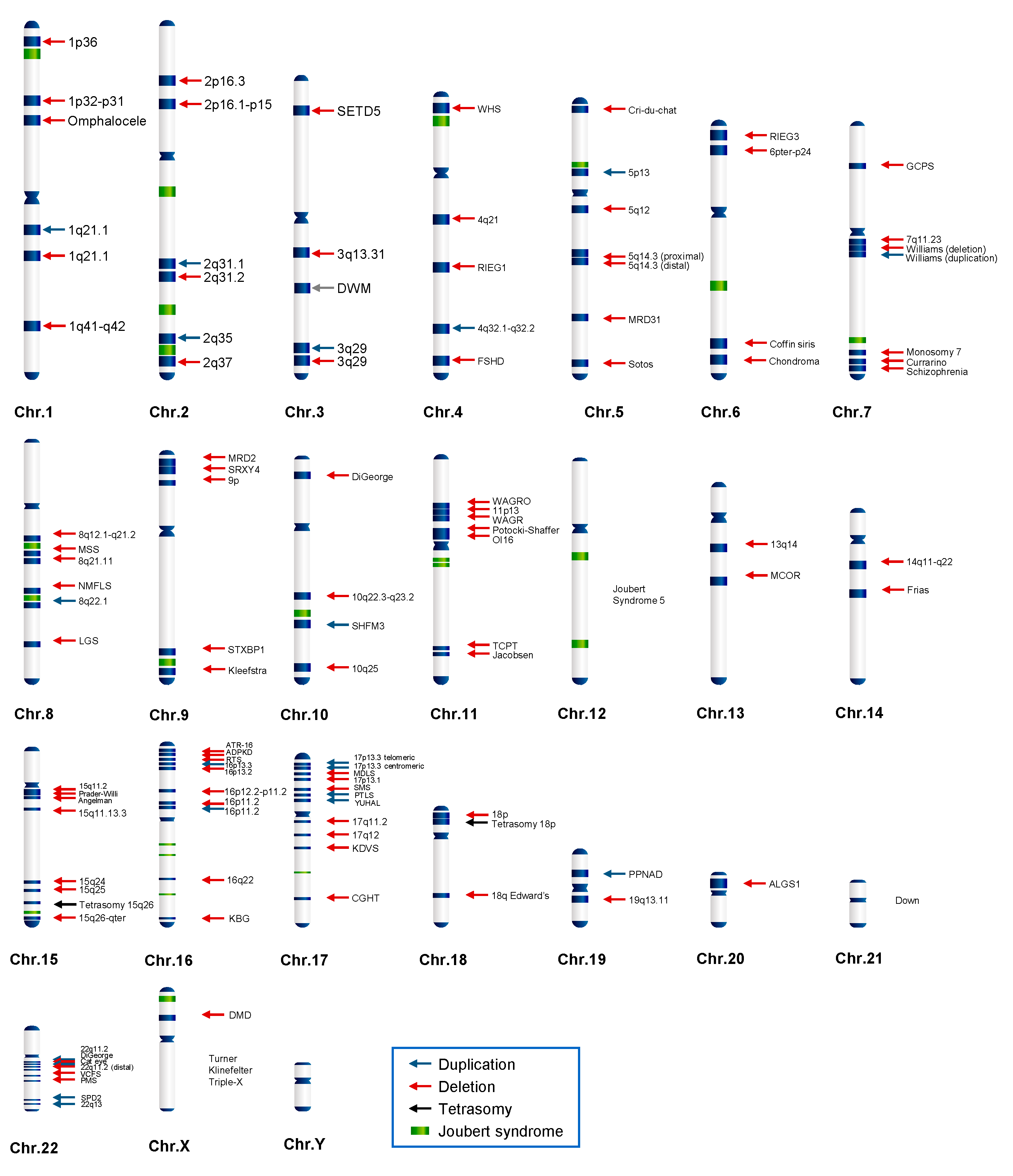 Improving CNV Detection Performance in Microarray Data Using a Machine Learning-Based Approach