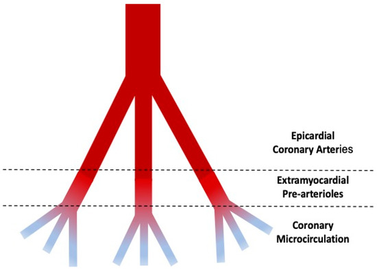 Invasive Assessment of Coronary Microcirculation: A State-of-the-Art Review