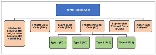 Does Frontal Recess Cell Variation Associate with the Development of ...
