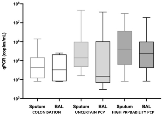 Diagnostics | Free Full-Text | Determining Pneumocystis jirovecii Colonisation from Infection ...