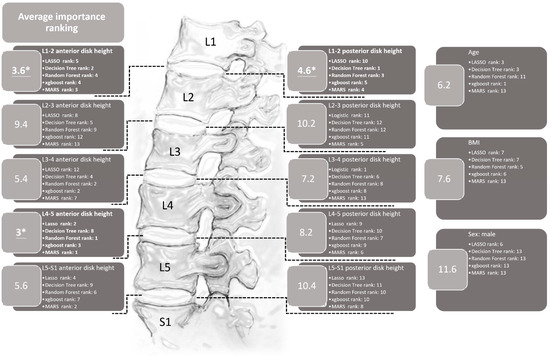 Development of a Machine Learning Algorithm to Correlate Lumbar Disc ...