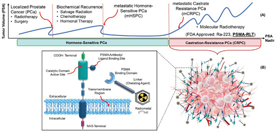 Radiomics and Artificial Intelligence in Radiotheranostics: A Review of ...